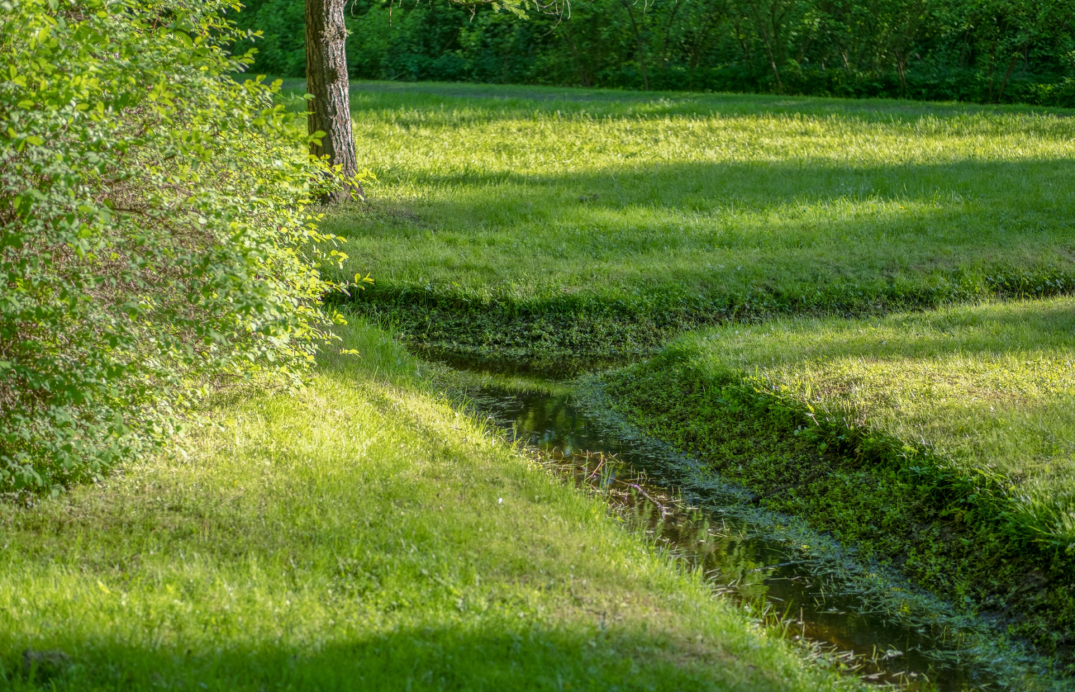 Drainage and Subsurface Drainage - Regal Land Services